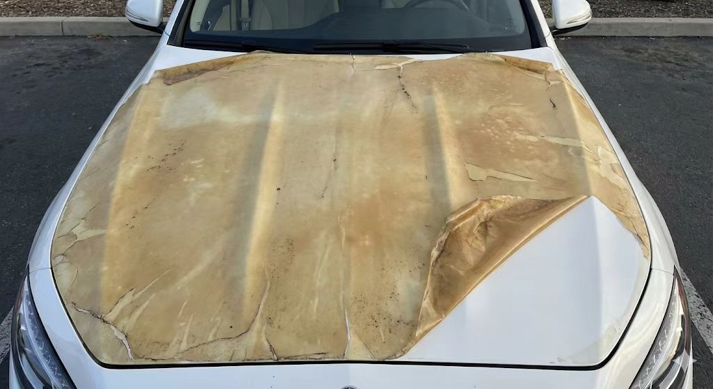 The Hidden Dangers of Low-Quality Paint Protection Film: See the Real ...